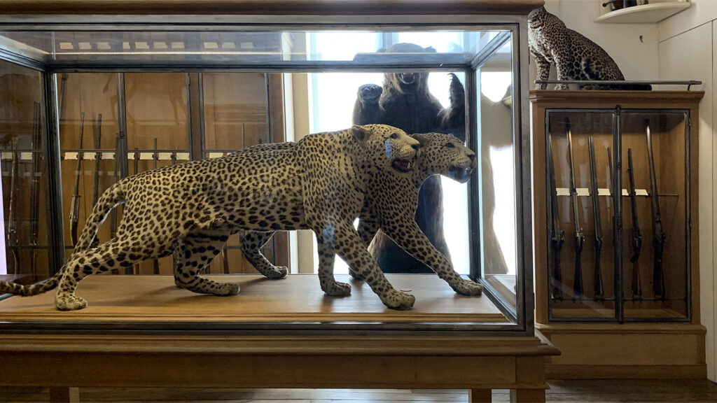 Museum of Hunting and Nature and the Uchrony exhibition - Le Relais du ...